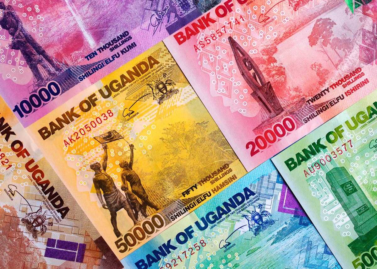 Uganda s Consumer Price Inflation Moderates In January The Exchange