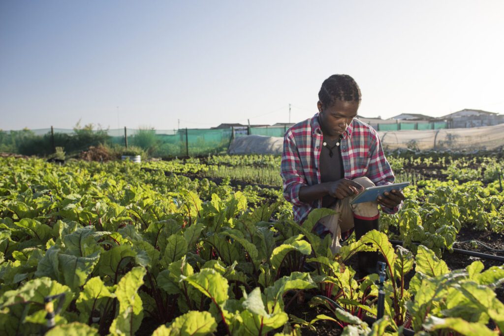 Investing in agri-tech startups in Africa will power agriculture ...